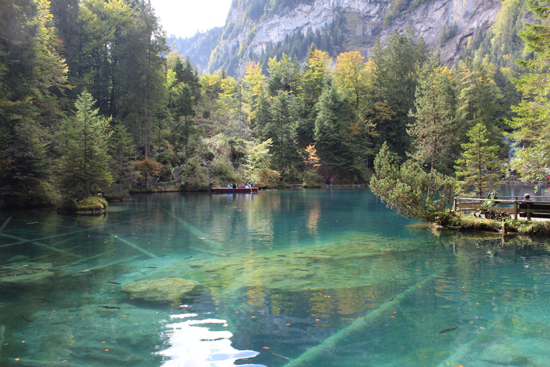 Familienausflug zum Naturpark Blausee - Ausflugsziele Schweiz