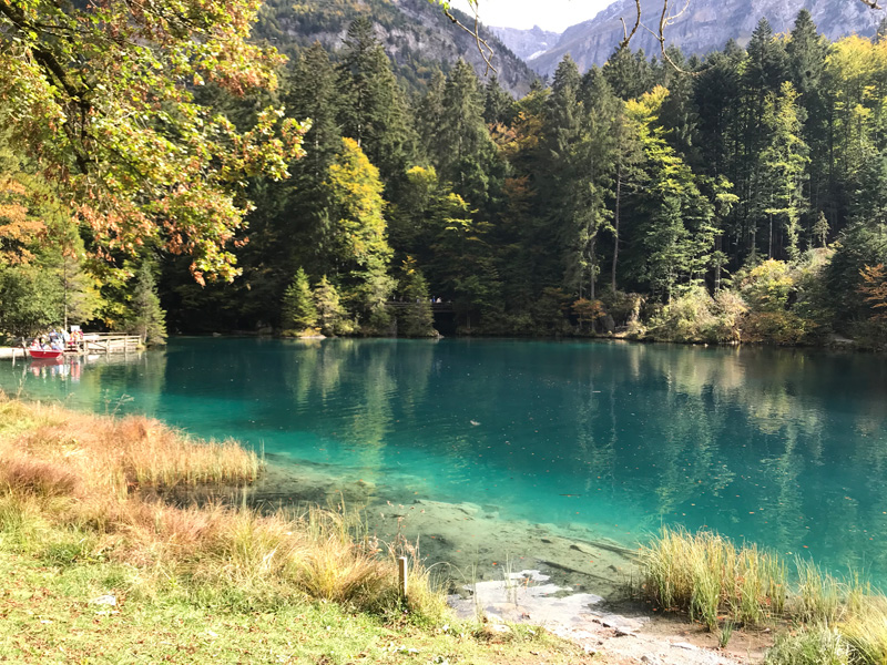 Familienausflug zum Naturpark Blausee