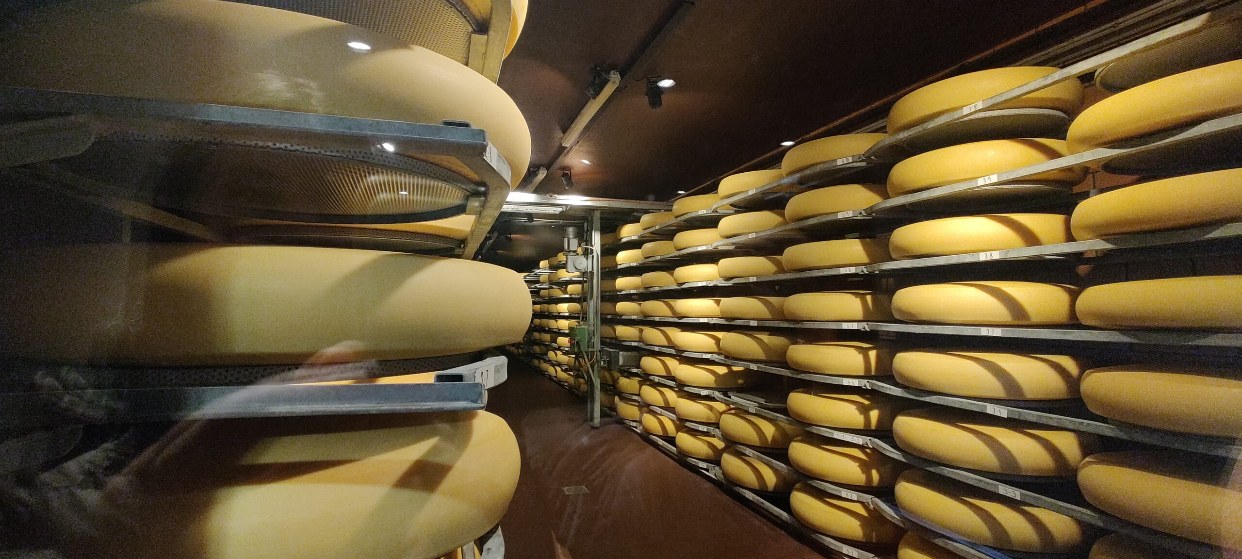 Der Königsweg Emmentaler Schaukäserei