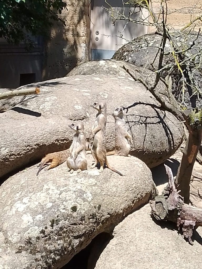 Switzerland Travel Family » Arquivos Basel mit Kindern – die besten ...