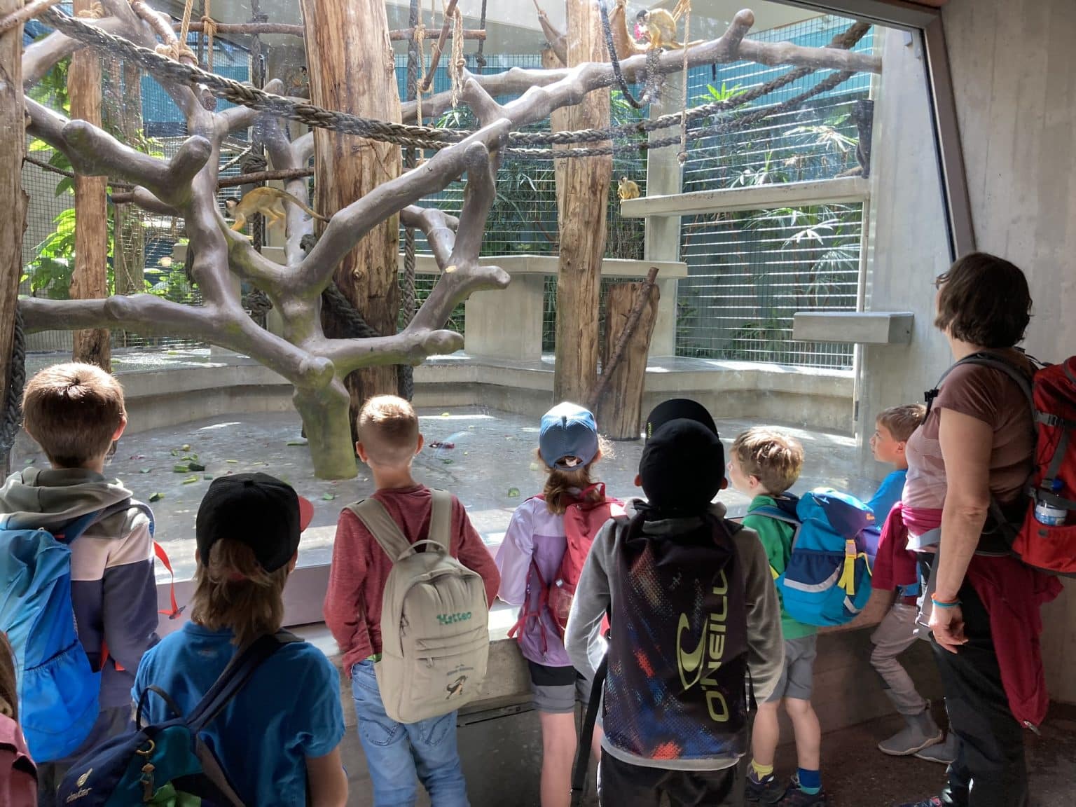 Switzerland Travel Family » Arquivos Basel mit Kindern – die besten ...